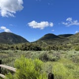 Grasslands Loop Trail, California - 1,717 Reviews, Map | AllTrails
