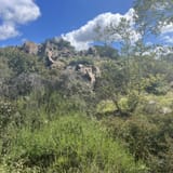 Grasslands Loop Trail, California - 1,717 Reviews, Map | AllTrails