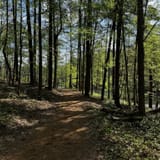 Iron Hill Loop, Georgia - 4,950 Reviews, Map | AllTrails