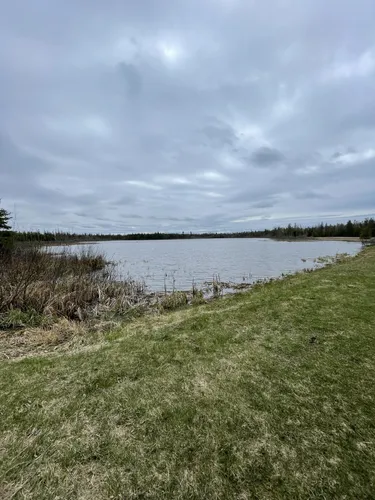 Best Kid Friendly Trails in Marlborough Forest | AllTrails