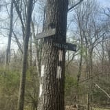 Pulpit Rock and Pinnacle Loop, Pennsylvania - 3,618 Reviews, Map ...