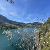 Alpsee Loop, Bavaria, Germany - 290 Reviews, Map | AllTrails
