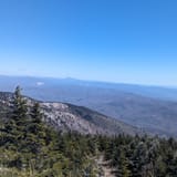 Mount Mitchell Trail, North Carolina - 2,411 Reviews, Map | AllTrails