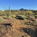 Thompson Peak via Dixie Mine Trail, Arizona - 888 Reviews, Map | AllTrails