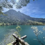 Alpsee Loop, Bavaria, Germany - 290 Reviews, Map | AllTrails