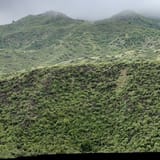 Pico Canyon Park, California - 174 Reviews, Map | AllTrails