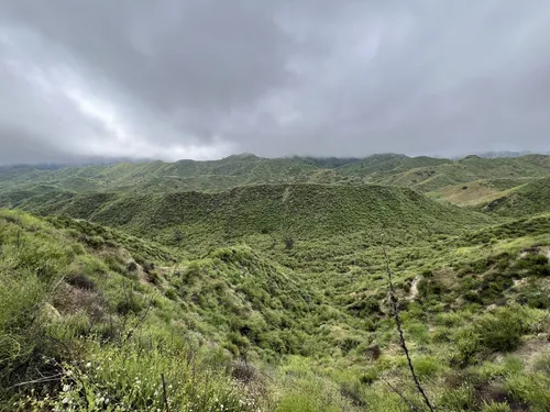 Melhores caminhadas e trilhas em Pico Canyon Park | AllTrails