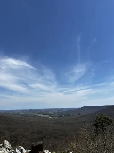 Best Forest Trails in Hawk Mountain Sanctuary | AllTrails