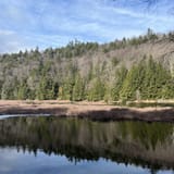 Inman Pond Trail, New York - 321 Reviews, Map | AllTrails