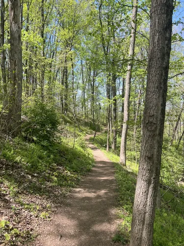 Best Kid Friendly Trails in Edwin Warner Park | AllTrails