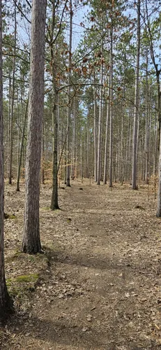 Best Moderate Trails in Simcoe County Forest | AllTrails