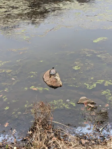 Best Hikes and Trails in Gedney Park | AllTrails