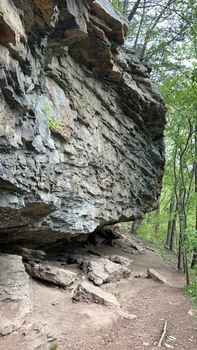 Best Forest Trails in Green Mountain Nature Preserve | AllTrails