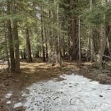 Hunter Creek Trail, Nevada - 4,397 Reviews, Map | AllTrails