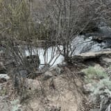 Hunter Creek Trail, Nevada - 4,397 Reviews, Map | AllTrails
