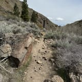 Hunter Creek Trail, Nevada - 4,397 Reviews, Map | AllTrails