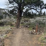 Hunter Creek Trail, Nevada - 4,397 Reviews, Map | AllTrails
