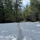 Hunter Creek Trail, Nevada - 4,422 Reviews, Map | AllTrails