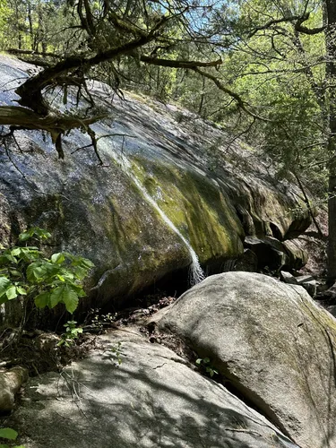 Best Hikes and Trails in Forty Acre Rock Heritage Preserve | AllTrails