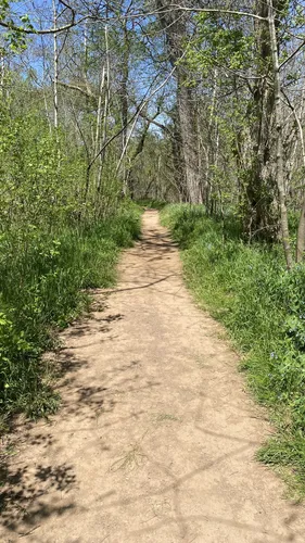 Best Easy Trails in Bull Run Regional Park | AllTrails