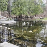 Leach Pond Trail, Massachusetts - 2,633 Reviews, Map | AllTrails