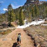 Turtle Rock Loop Trail, Wyoming - 1,078 Reviews, Map | AllTrails