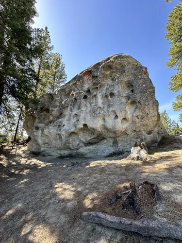 Best Forest Trails in Teanaway Community Forest | AllTrails