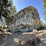 Cheese Rock Trail, Washington - 394 Reviews, Map | AllTrails