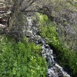 Barnhardt Trail Waterfall, Arizona - 929 Reviews, Map | AllTrails