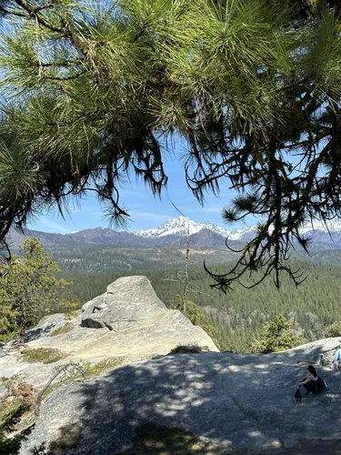 Best Forest Trails in Teanaway Community Forest | AllTrails