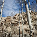 Turtle Rock Loop Trail, Wyoming - 1,078 Reviews, Map | AllTrails