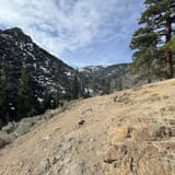 Hunter Creek Trail, Nevada - 4,397 Reviews, Map | AllTrails