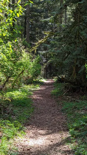 Best Easy Trails in Redmond Watershed Preserve | AllTrails