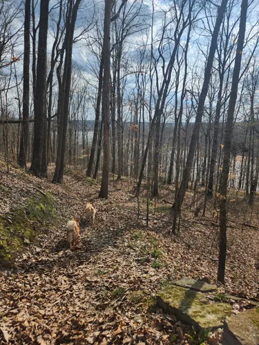 Best Hikes and Trails in Nolin Lake State Park | AllTrails