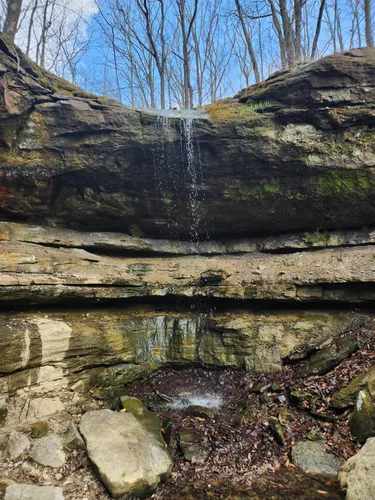 Best Hikes and Trails in Nolin Lake State Park | AllTrails