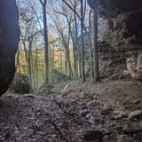 River to River Trail, Illinois - 218 Reviews, Map | AllTrails