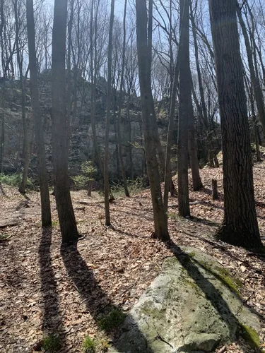 Best Moderate Trails in Money Rocks County Park | AllTrails