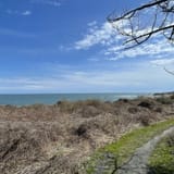 Black Point Trail, Rhode Island - 818 Reviews, Map | AllTrails