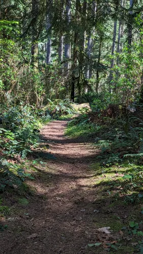 Best Easy Trails in Redmond Watershed Preserve | AllTrails
