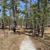 Batsto Lake Trail, New Jersey - 1,583 Reviews, Map | AllTrails