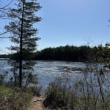 Batsto Lake Trail, New Jersey - 1,583 Reviews, Map | AllTrails