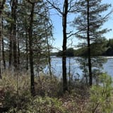 Batsto Lake Trail, New Jersey - 1,583 Reviews, Map | AllTrails