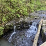 Lower Macleay Park to Pittock Mansion, Oregon - 4,265 Reviews, Map ...