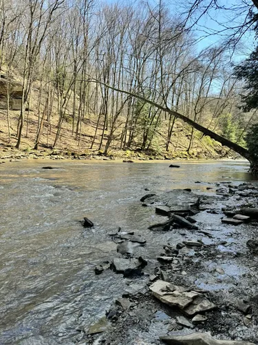 Best Wild Flowers Trails in South Chagrin Reservation | AllTrails