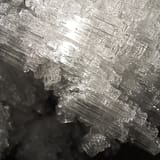 Castner Glacier Trail, Alaska - 624 Reviews, Map | AllTrails