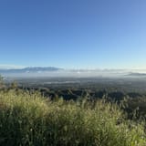 Skyline Drive to Beek's Place, California - 2,524 Reviews, Map | AllTrails