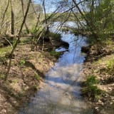 Lake Thom-a-Lex Nature Trail, North Carolina - 264 Reviews, Map | AllTrails