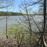 Lake Thom-a-Lex Nature Trail, North Carolina - 264 Reviews, Map | AllTrails