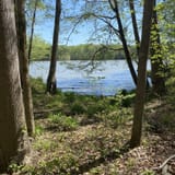 Lake Thom-a-Lex Nature Trail, North Carolina - 264 Reviews, Map | AllTrails