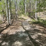 Lake Thom-a-Lex Nature Trail, North Carolina - 264 Reviews, Map | AllTrails